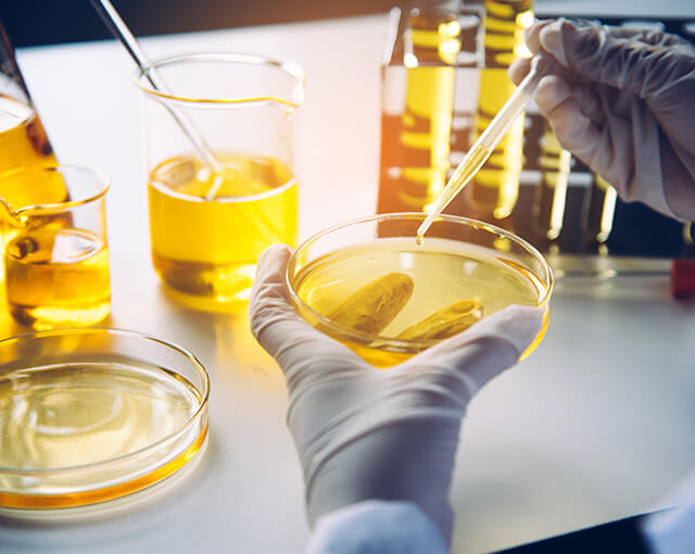 Panel Test dell’Olio